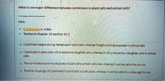 SOLVED: What is one major difference between cytokinesis in plant cells and animal cells? Hint ...