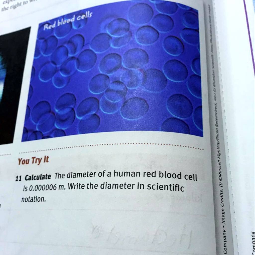 SOLVED: 'You have to solve this . Calculate the diameter of a human red ...
