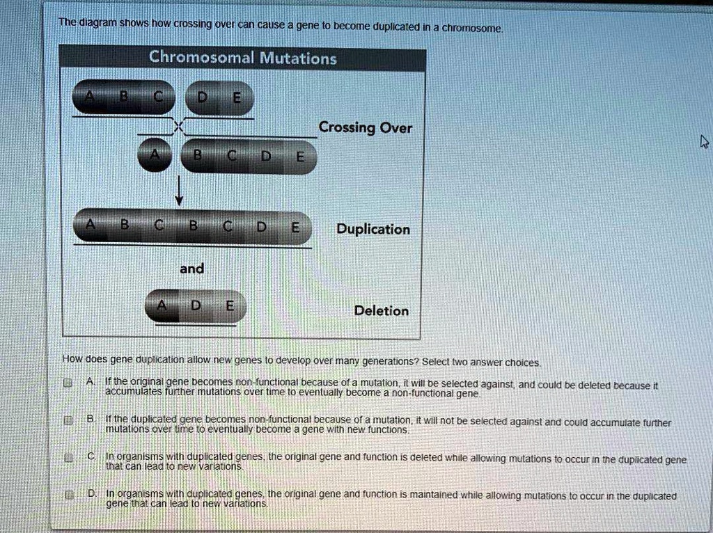 The diagram shows how crossing over can cause a gene to become ...