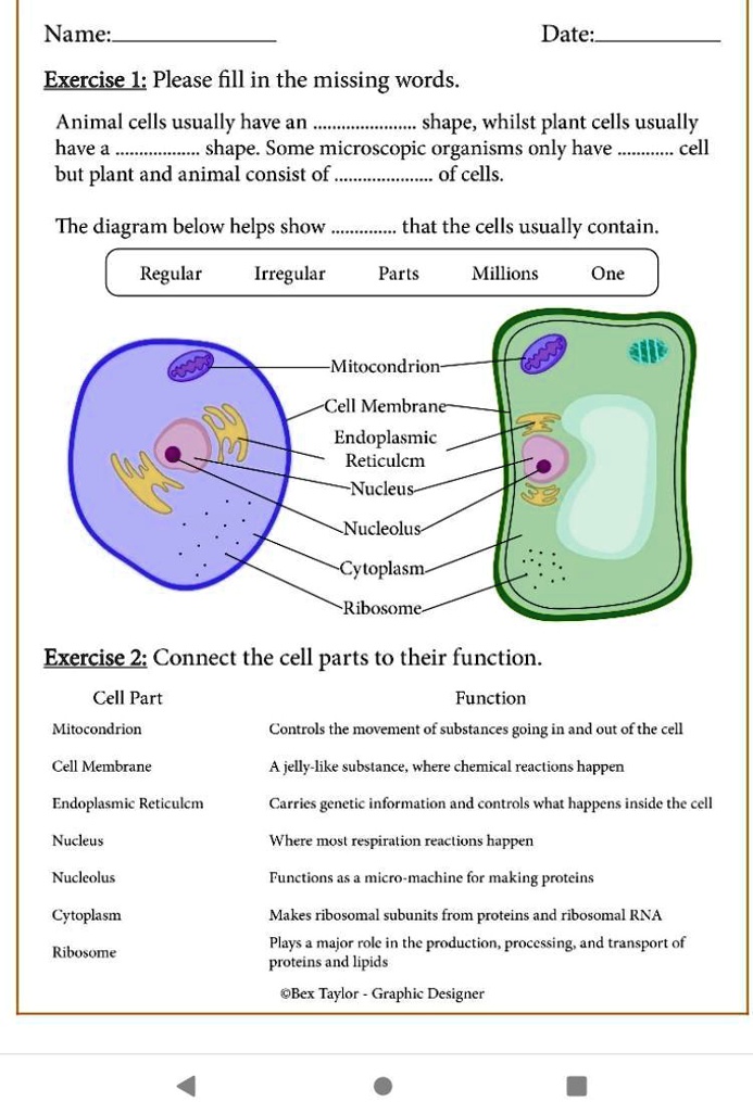 Name: Date: Exercise 1: Please fill in the missing words. Animal cells ...