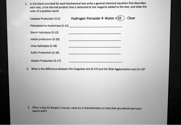 SOLVED: Text: In the blank provided for each biochemical test, write a ...