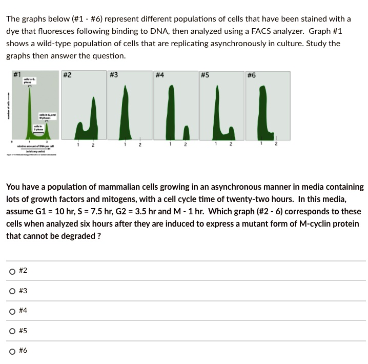 the graphs below 1 6 represent different populations of cells that have ...
