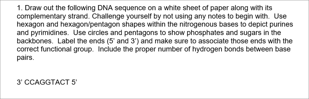1. Draw out the following DNA sequence on a white sheet of paper along with its complementary ...