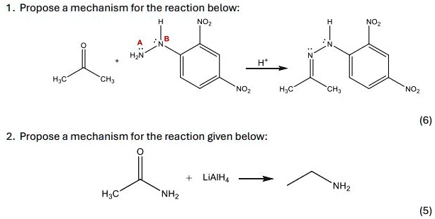 1. Propose a mechanism for the reaction below: H NO2 B AN H2N H3C CH3 H ...