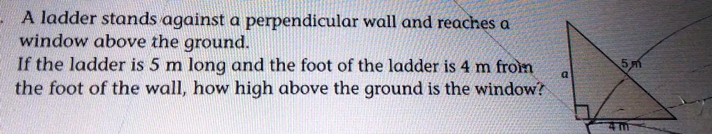 SOLVED: A ladder stands against a perpendicular wall and reaches a ...