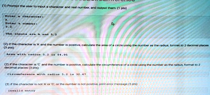 (1) Prompt the user to input a character and real number, and output ...