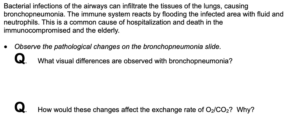SOLVED: Bacterial infections of the airways can infiltrate the tissues ...