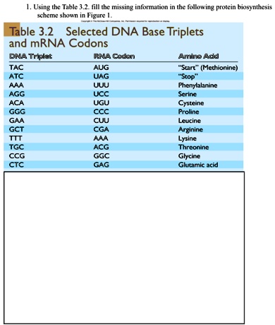Using the Table 3.2, fill the missing information in the following protein biosynthesis scheme ...
