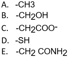 A. -CH3 B. -CH2OH C. -CH2COO^- D. -SH E. -CH2CONH2