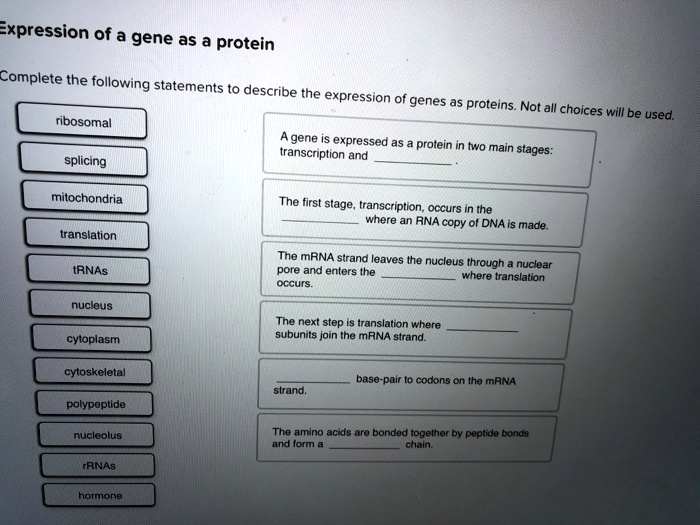 Expression of a gene as a protein Complete the following...