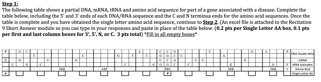 SOLVED: Step 1: The following table shows partial DNA, mRNA, tRNA, and amino acid sequences for ...