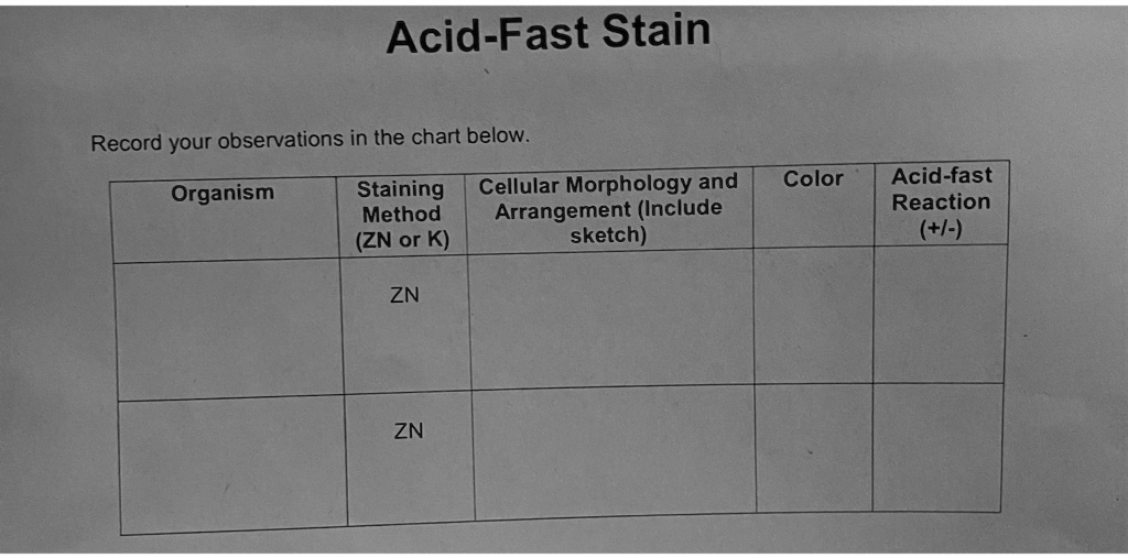 SOLVED: Acid-Fast Stain Record your observations in the chart below ...