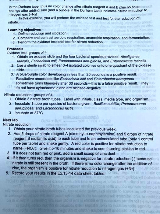 the durham tube thus no color change after nitrate reagent a and b plus ...