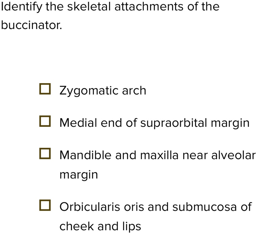 Identify the skeletal attachments of the buccinator. ? Zygomatic arch ...