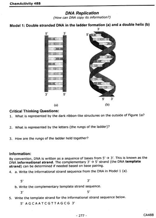 chemactivity 488 dna replication how can dna copy ks information model ...