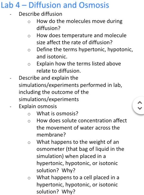 Lab 4 – Diffusion and Osmosis - Describe diffusion o How do the molecules move during diffusion ...