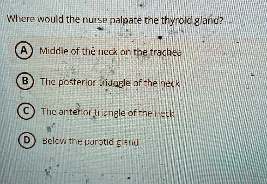 Where would the nurse palpate the thyroid gland a middle of...