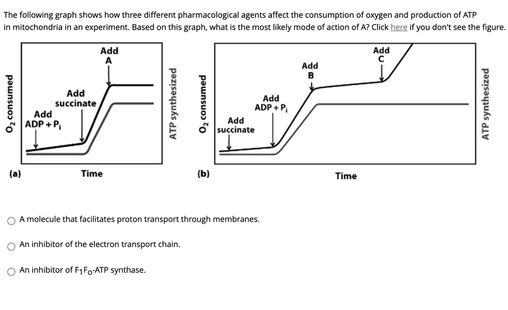 SOLVED: The following graph shows how three different pharmacological ...