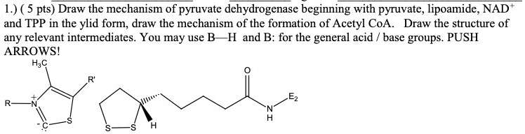 SOLVED: '1.) ( 5 pts) Draw the mechanism of pyruvate dehydrogenase ...