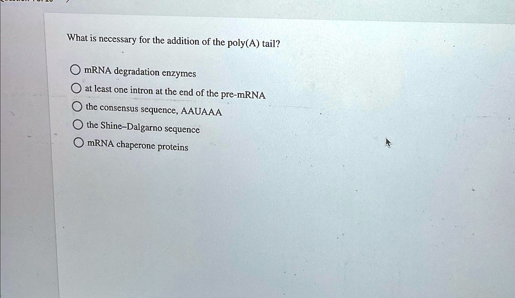 what is necessary for the addition of the polya tail mrna degradation ...