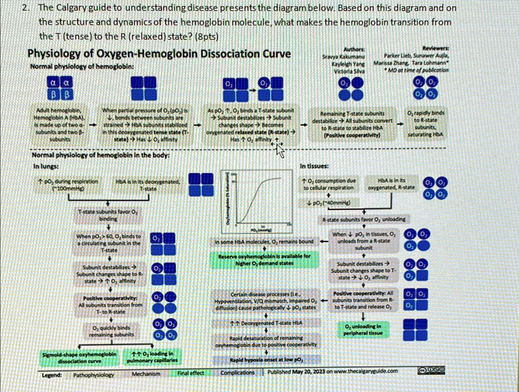 the calgary guide to understanding disease presents the diagram below ...