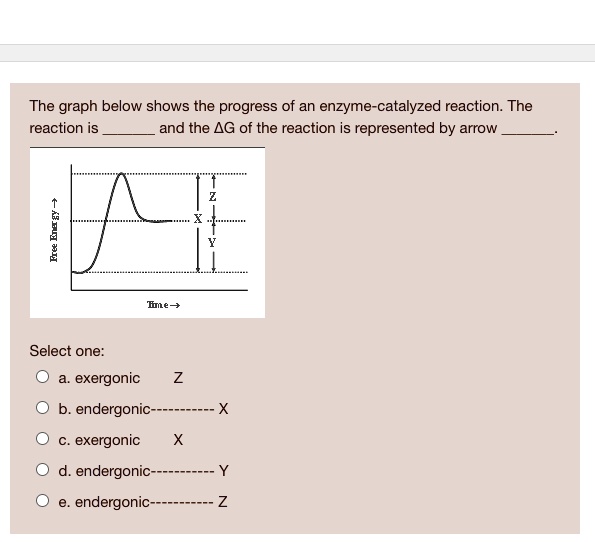 the graph below shows the progress of an enzyme catalyzed reaction the ...