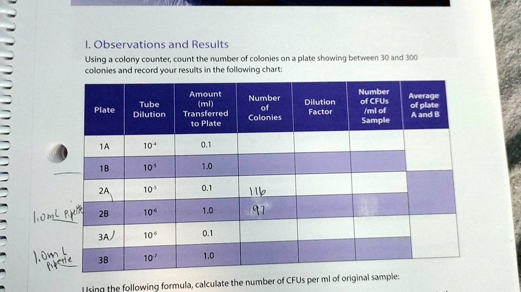 1 observations and results using a colony counter count the number of ...