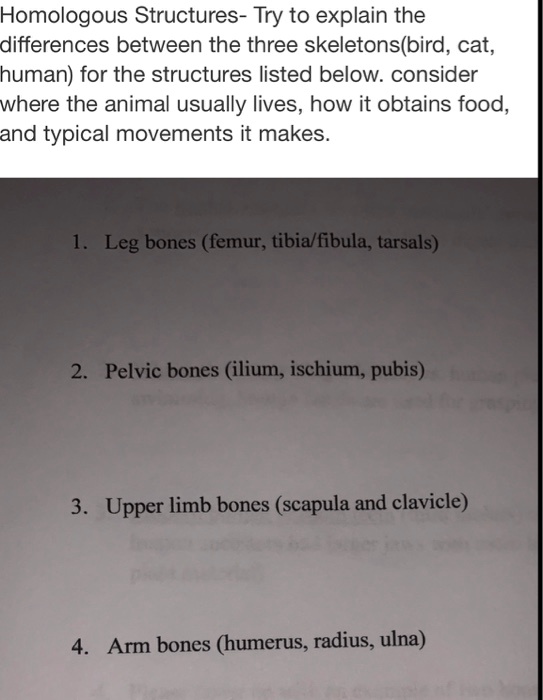 SOLVED: Homologous Structures- Try to explain the differences between ...