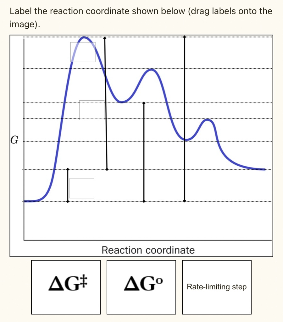 SOLVED: Label the reaction coordinate shown below (drag labels onto the image). Reaction ...