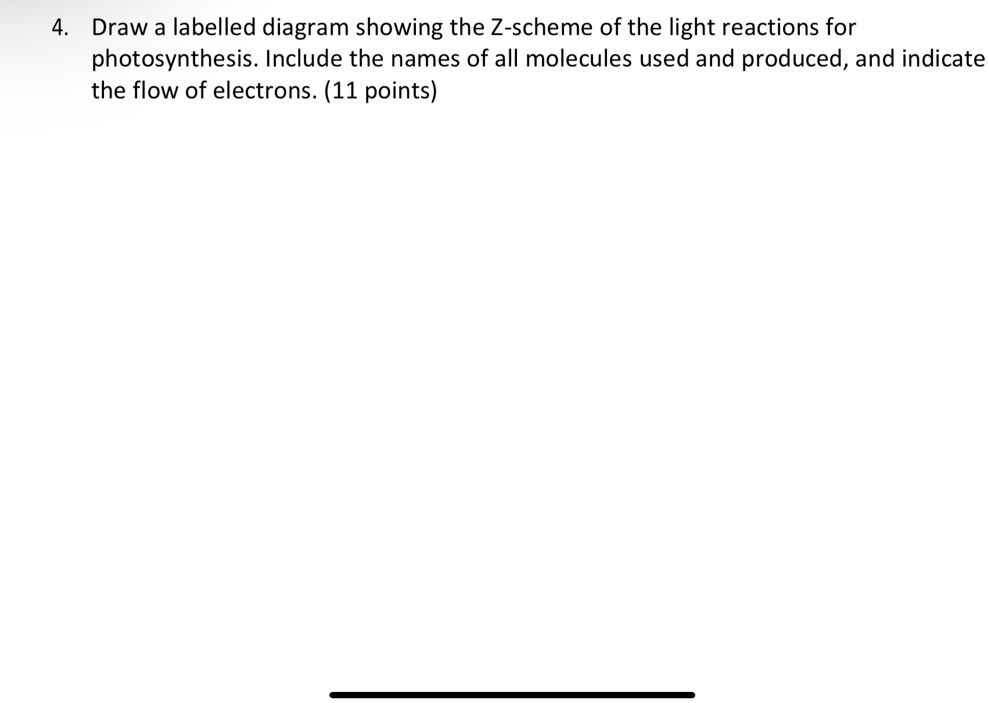 4 draw a labelled diagram showing the z scheme of the light reactions ...