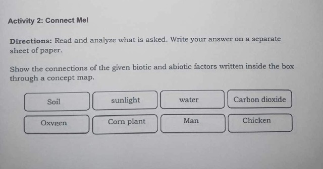 Activity 2: Connect Me! Directions: Read and analyze what is asked. Write your answer on a ...