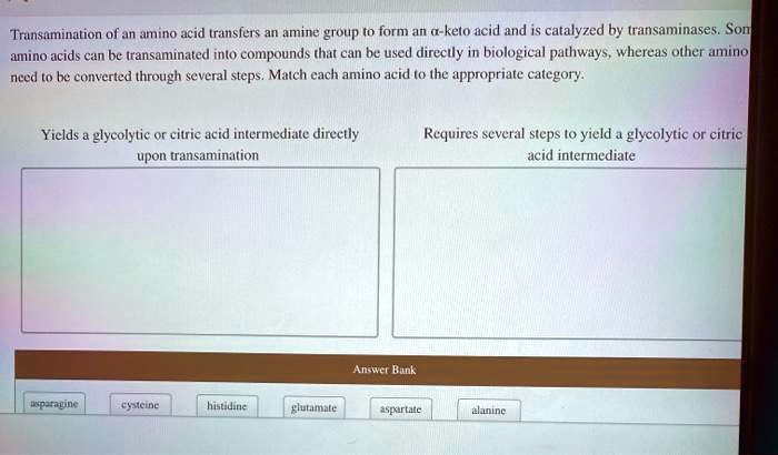 SOLVED: Transamination of an amino acid transfers an amine group to ...