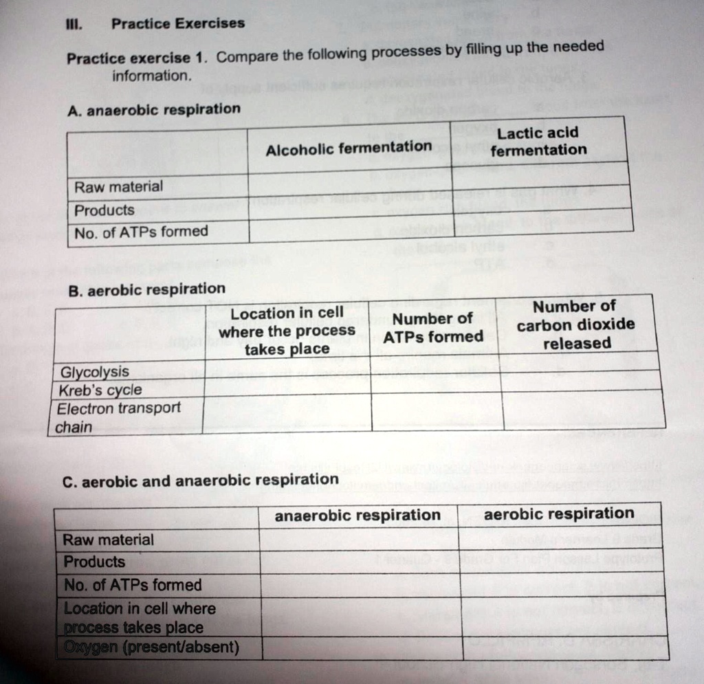 III. Practice Exercises Practice exercise 1. Compare the following ...