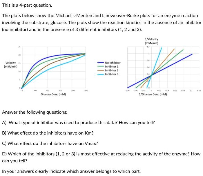 SOLVED: The plots below show the Michaelis-Menten and Lineweaver-Burk plots for an enzyme ...
