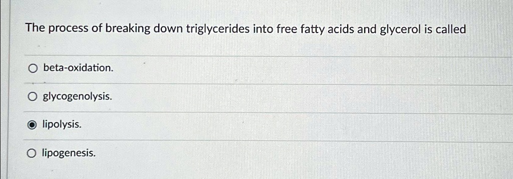 SOLVED: The process of breaking down triglycerides into free fatty ...