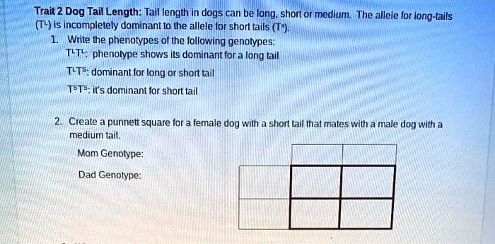 Trait 2 Dog Tail Length: Tail length in dogs can be long, short or ...