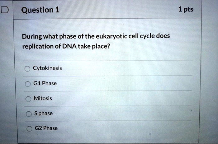 Question 1 During what phase of the eukaryotic cell cycle does replication of DNA take place ...