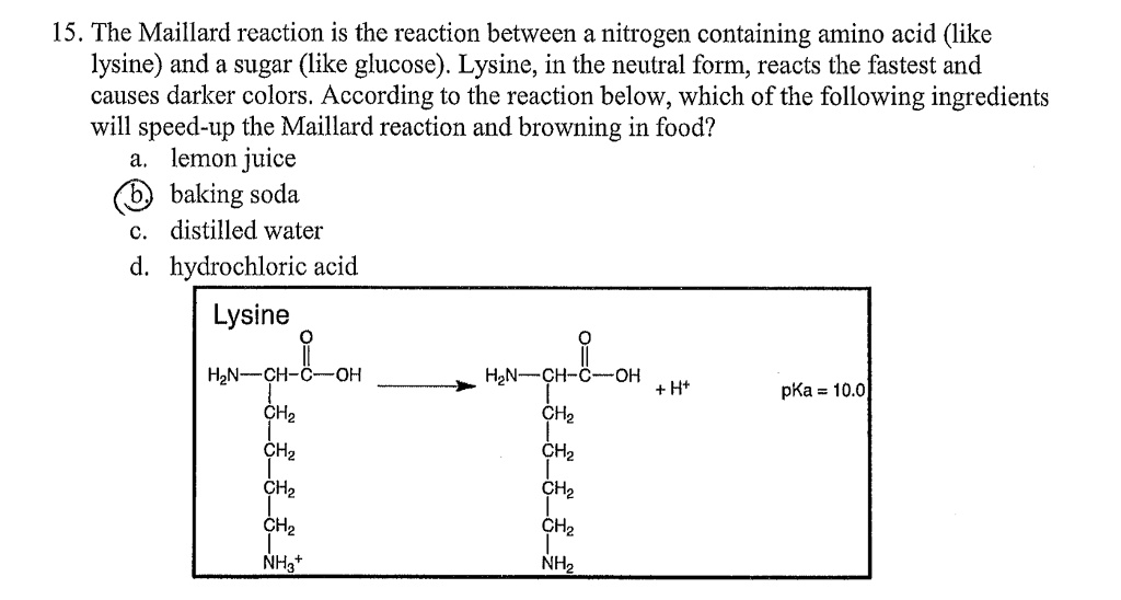 15. The Maillard reaction is the reaction between a nitrogen containing ...