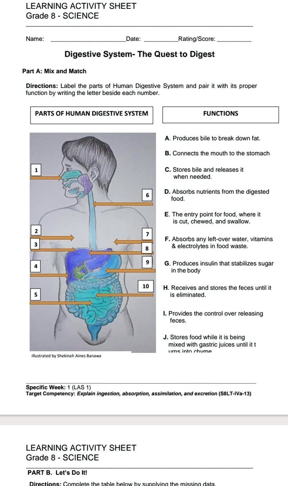 LEARNING ACTIVITY SHEET Grade 8 - SCIENCE Name: Date: Rating/Score ...
