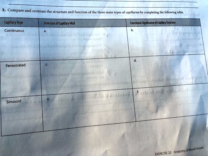 SOLVED: Compare and contrast the structure and function of the three main types of capillaries ...