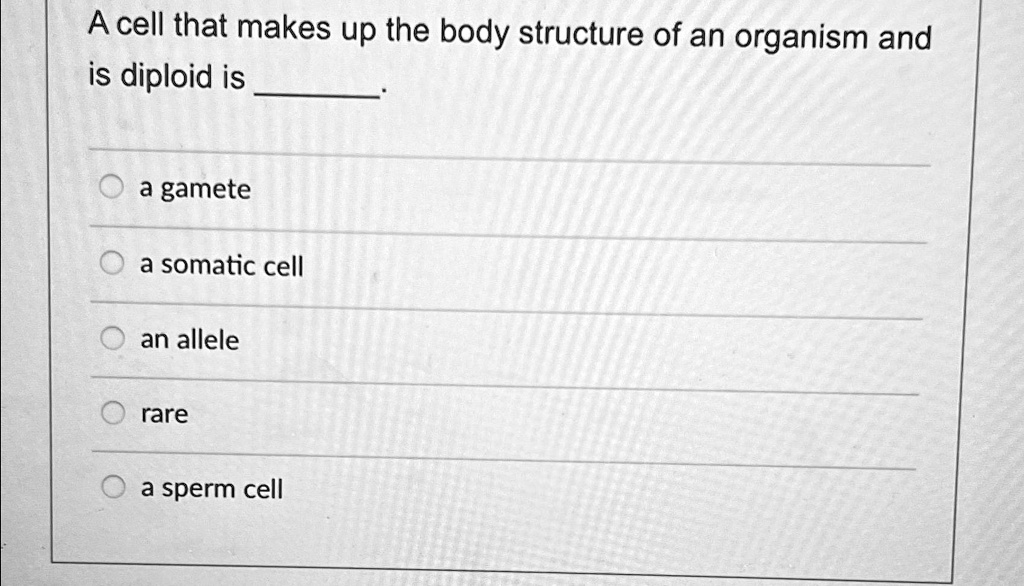A cell that makes up the body structure of an organism and is diploid ...