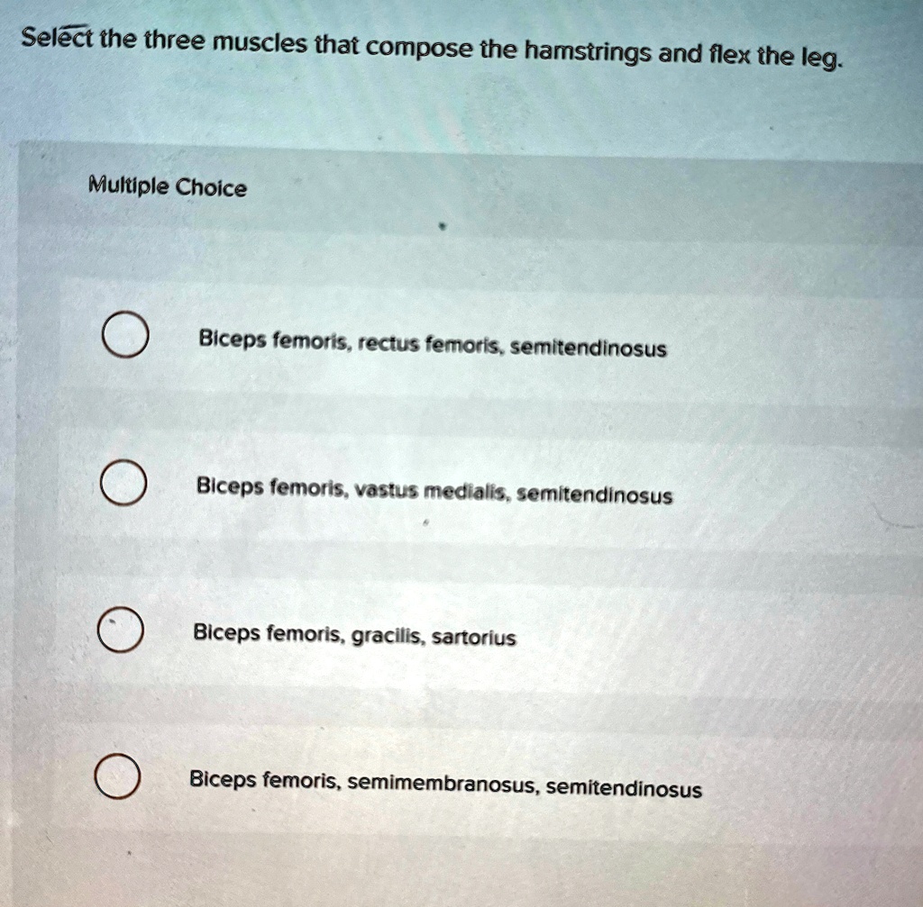 Select the three muscles that compose the hamstrings and flex the leg ...