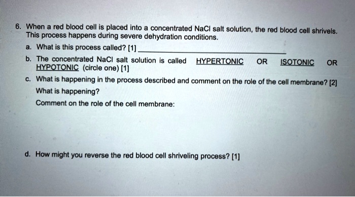 SOLVED: When a red blood cell is placed into a concentrated NaCl salt ...