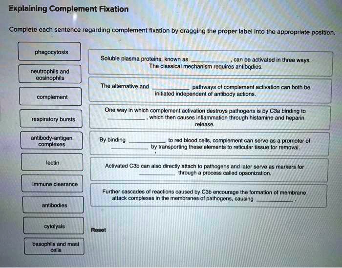 Explaining Complement Fixation Complete each sentence regarding ...