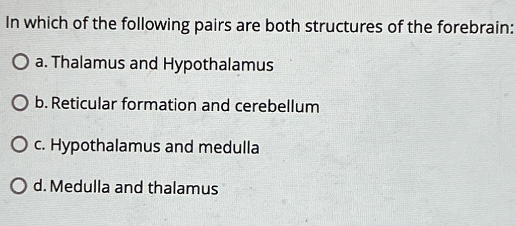 in which of the following pairs are both structures of the forebrain a ...