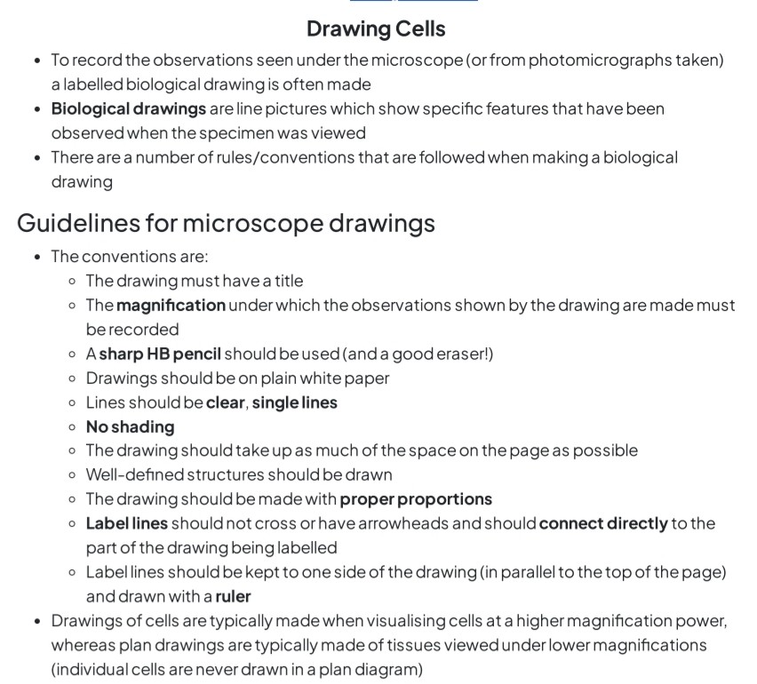 Drawing Cells - To record the observations seen under the microscope ...