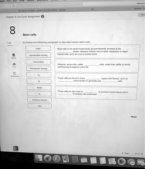 SOLVED: ceCor Snbu Junan HLETRNLIRCS Tomut Vida En Un Ciatc Chapier ...