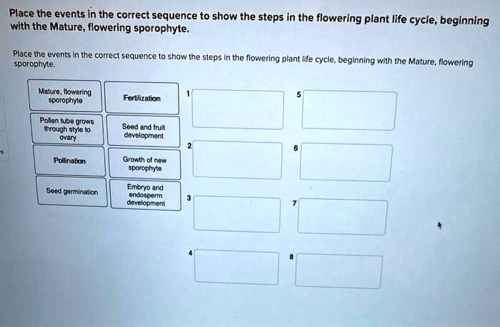 Place the events in the correct sequence to show the steps in the ...