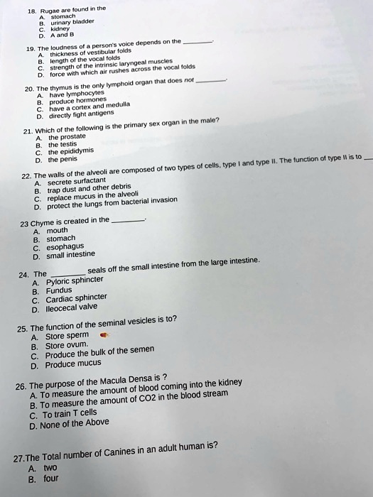 18. Rugae are found in the A. stomach B. urinary bladder C. kidney D. A ...