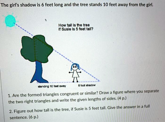 SOLVED:The girls shadow is 6 feet long and the tree stands 10 feet away ...